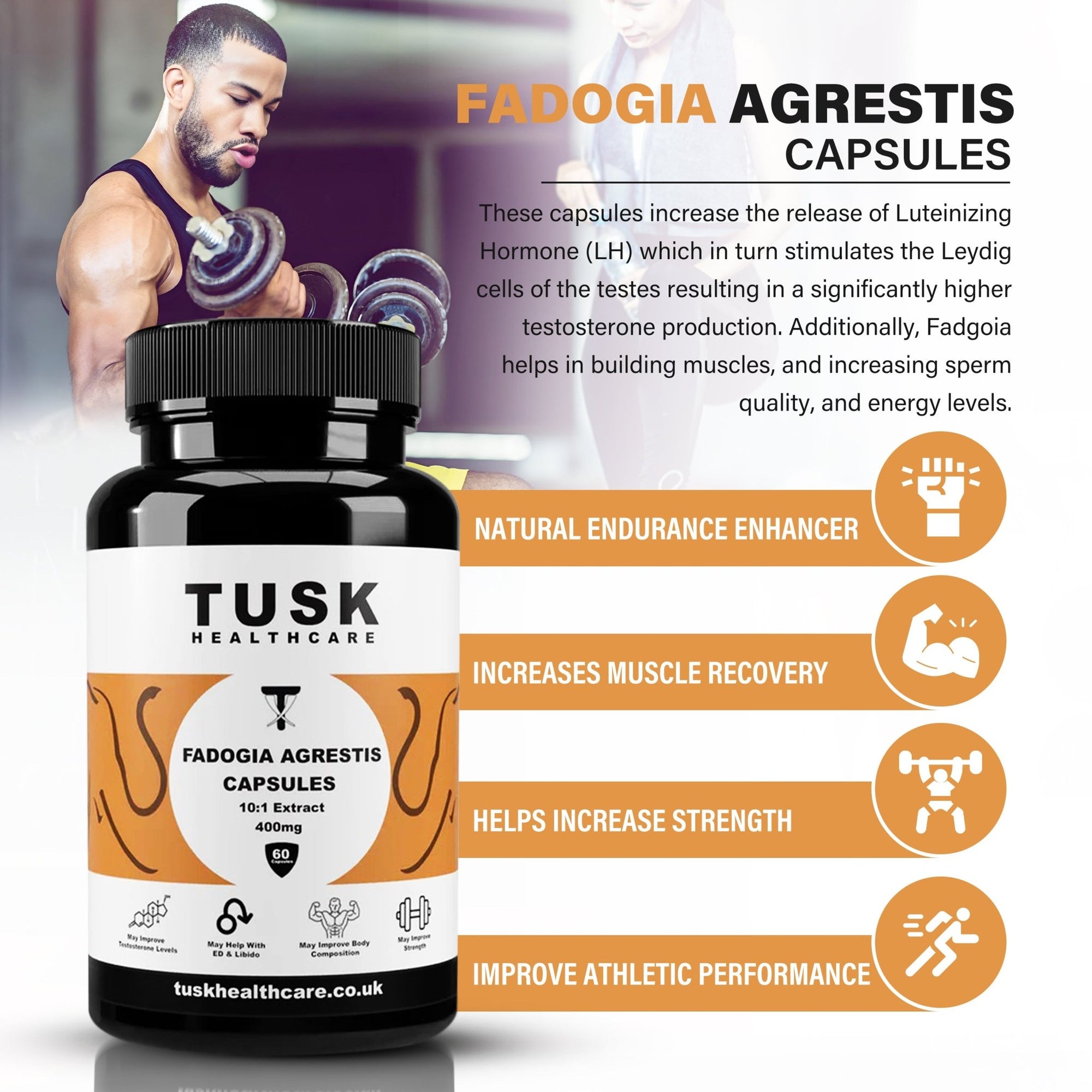 Natural Muscle Builder Bundle - Tongkat Ali, Fadogia & Turkesterone